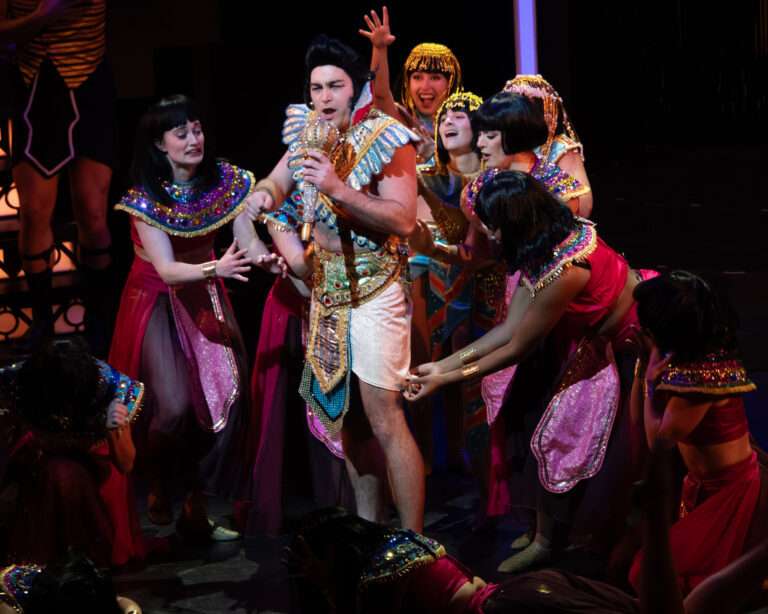 JOSEPH AND THE AMAZING TECHNICOLOR DREAMCOAT – Costume World Wardrobe